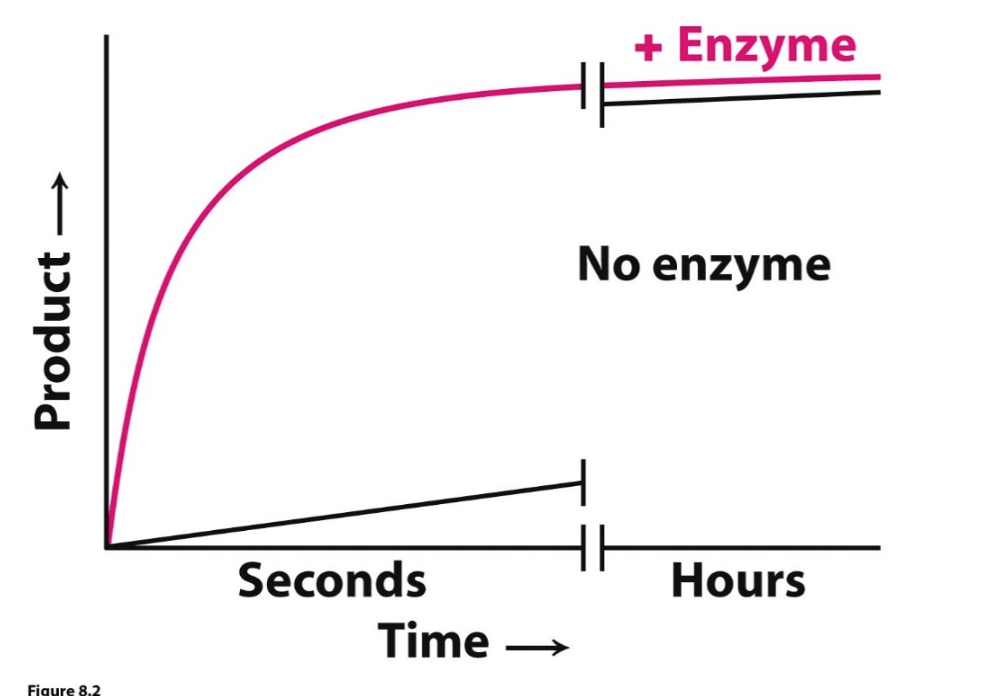 Solved Using the example data from prac 3, draw a | Chegg.com