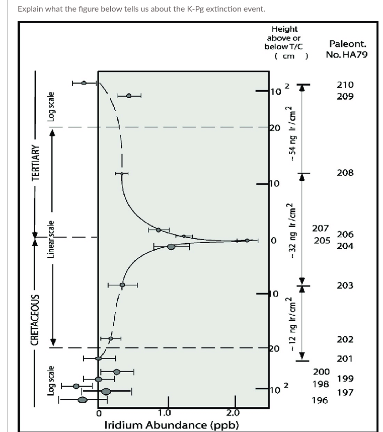 Solved Explain what the figure below tells us about the K-Pg | Chegg.com