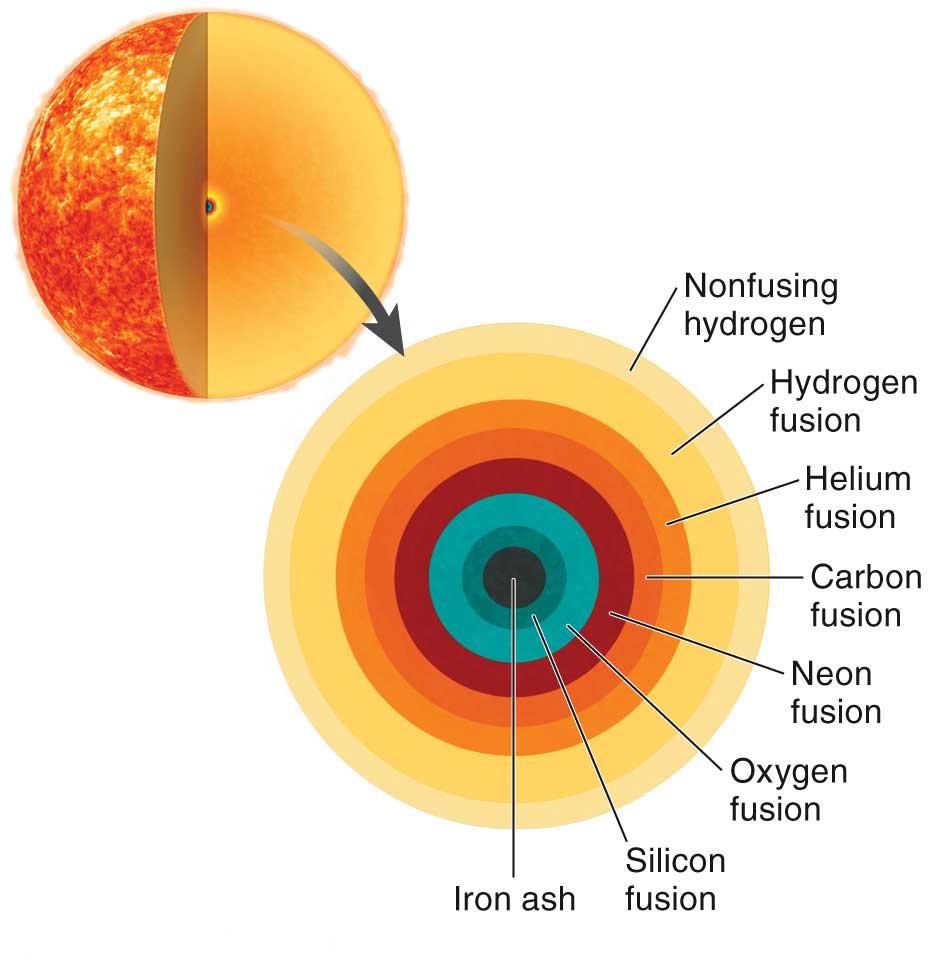 Solved The figure shows the core of a red supergiant star | Chegg.com