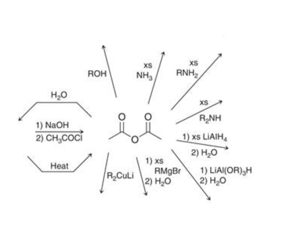 Solved XS XS ROH NH3 RNH2 H2O xs RANH 1) NaOH 2) CH3COCI ice | Chegg.com