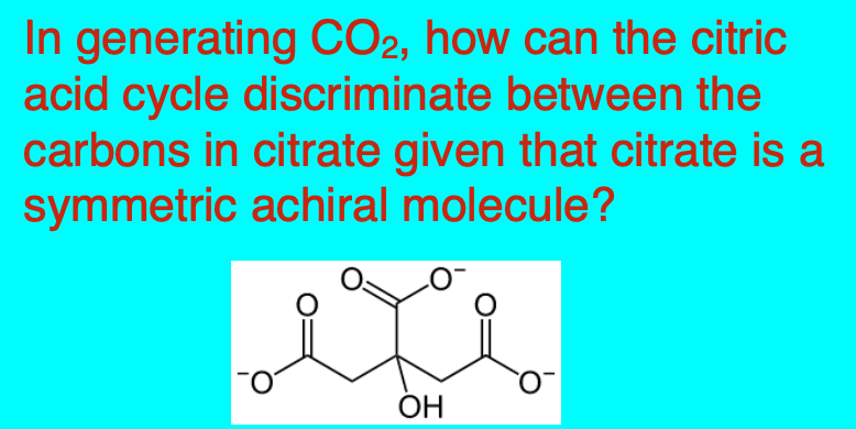 Solved In generating CO2, how can the citric acid cycle | Chegg.com