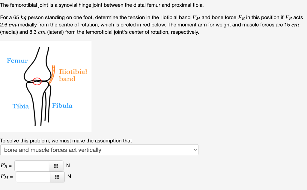 Solved The femorotibial joint is a synovial hinge joint | Chegg.com