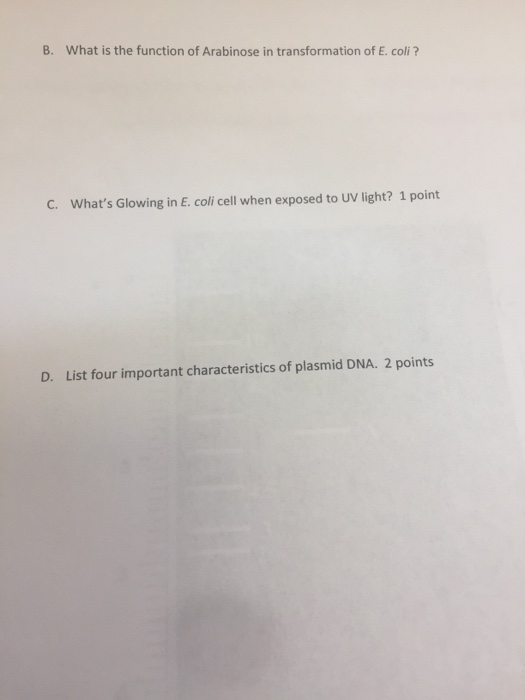 Solved What is the function of Arabinose in transformation | Chegg.com
