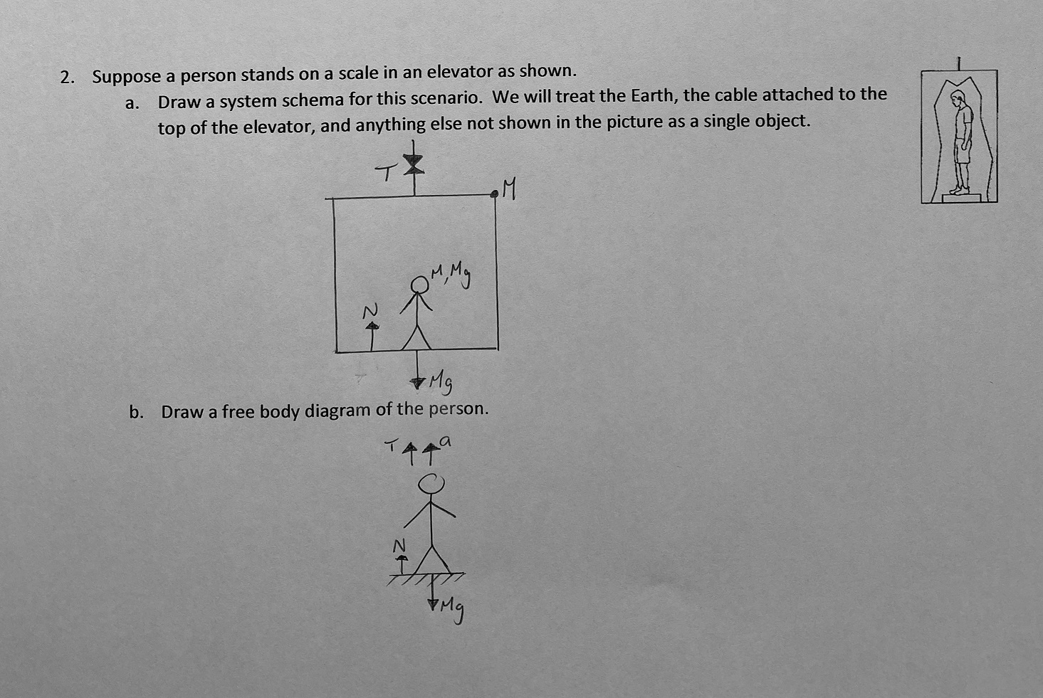 Solved 2. Suppose a person stands on a scale in an elevator | Chegg.com