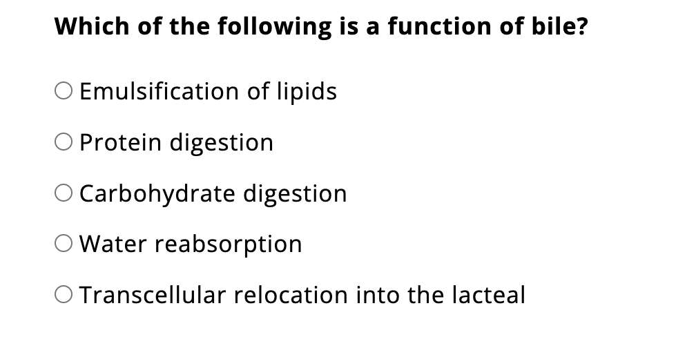 High Quality SOLUTION Which of the following is a function of | Chegg.com