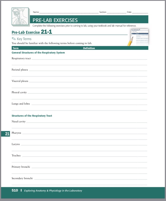 Solved Name Section Date PRE-LAB EXERCISES Complete the | Chegg.com