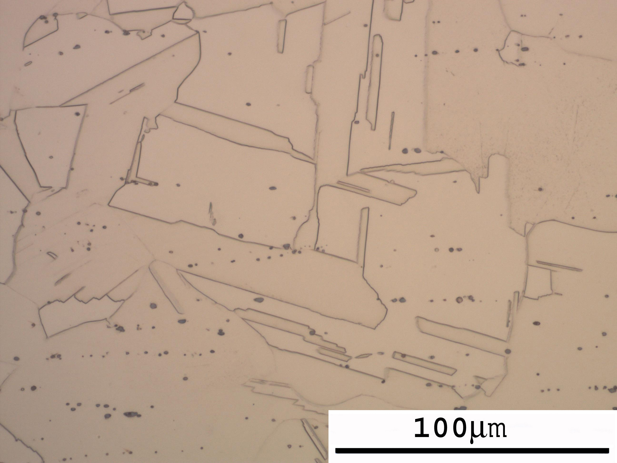 The picture below is the microstructure of | Chegg.com