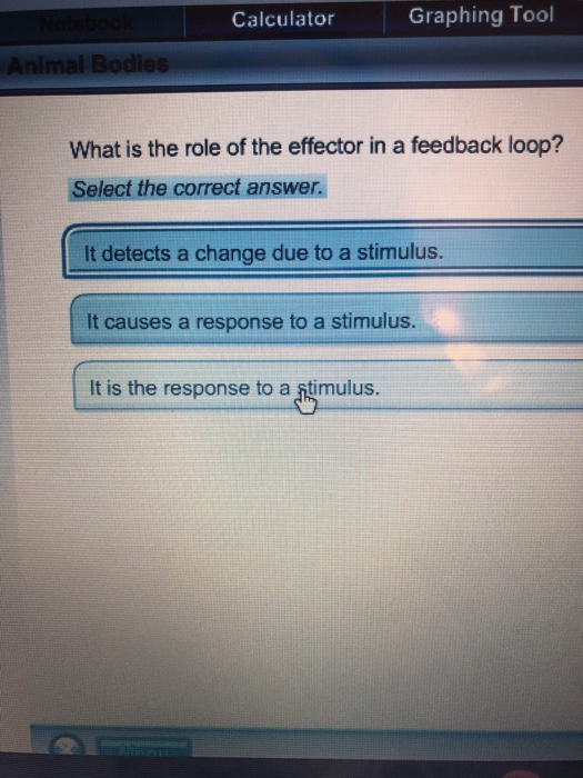 Solved What is the role of the effector in a feedback loop? | Chegg.com