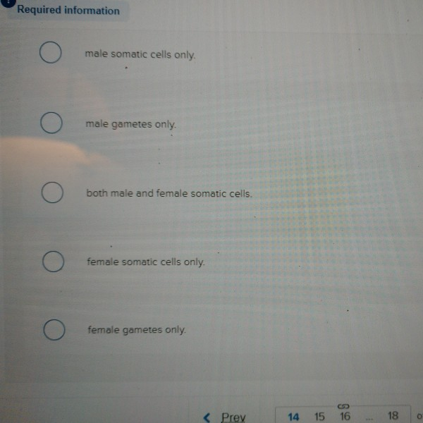 Solved Required information male somatic cells only male | Chegg.com