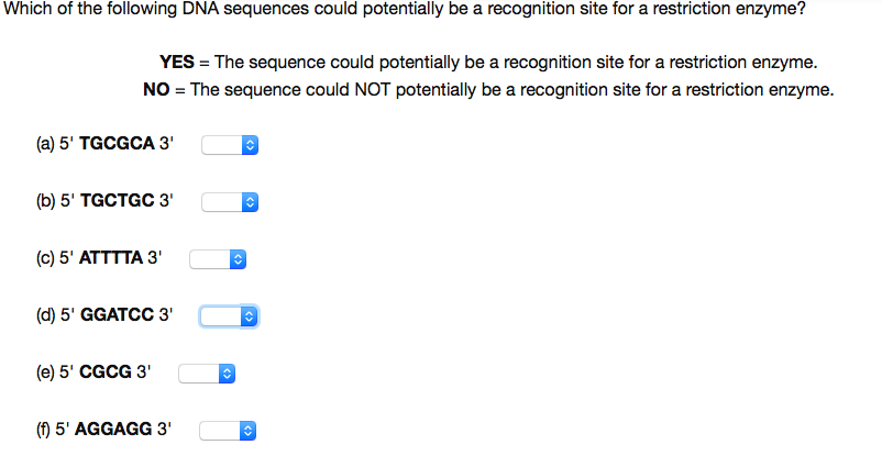 Solved Which of the following DNA sequences could | Chegg.com