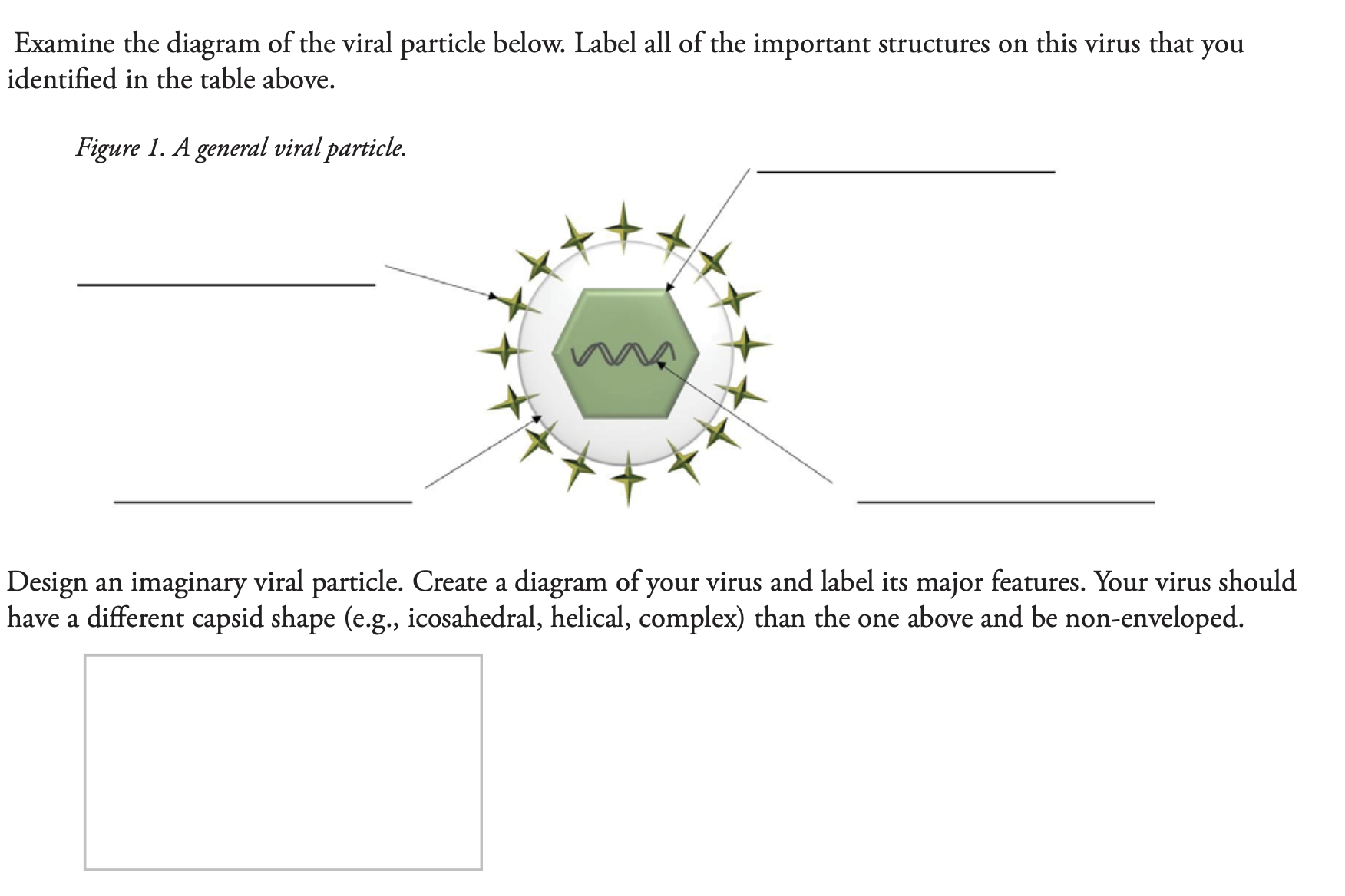 Solved Examine the diagram of the viral particle below. | Chegg.com