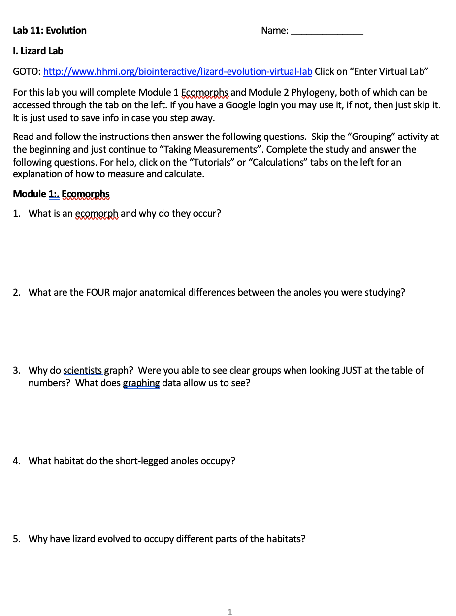 Lab 11: Evolution Name: 1. Lizard Lab GOTO: | Chegg.com
