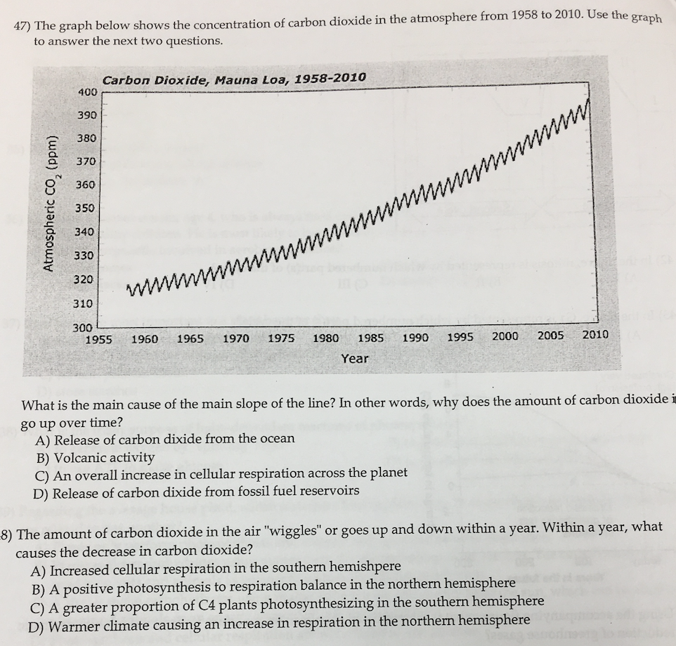 Solved 47) The graph below shows the concentration of carbon | Chegg.com