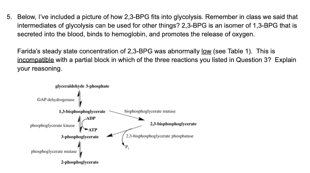 Solved Below, I've included a picture of how 2,3-BPG fits | Chegg.com