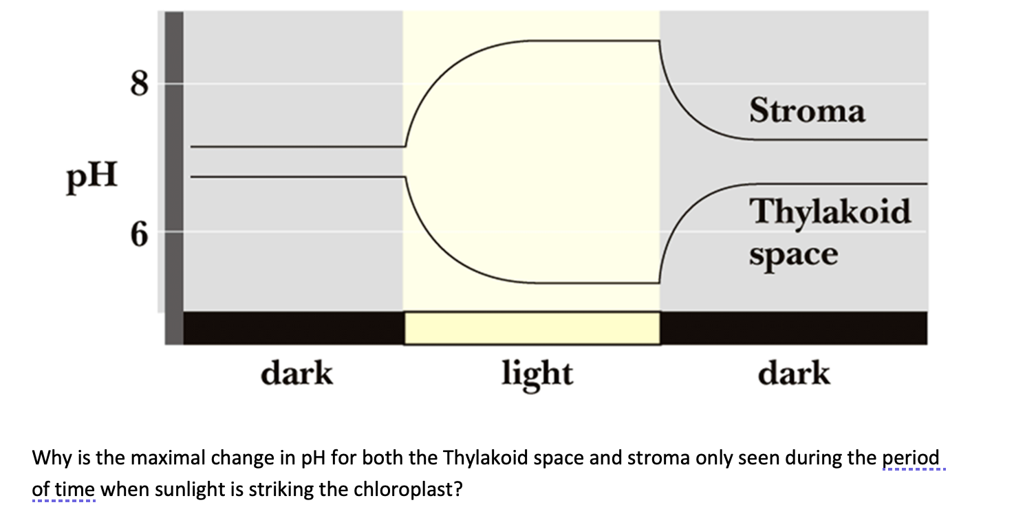 Solved Why is the maximal change in pH for both the | Chegg.com