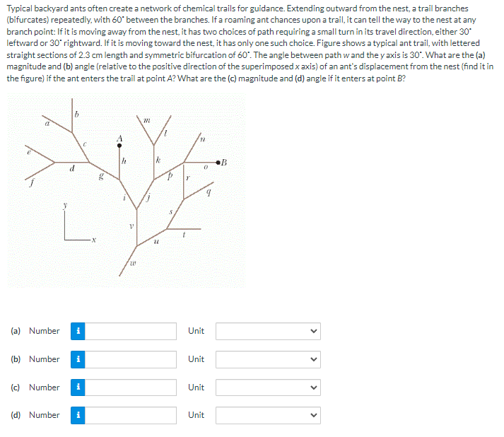 Solved Typical backyard ants often create a network of | Chegg.com
