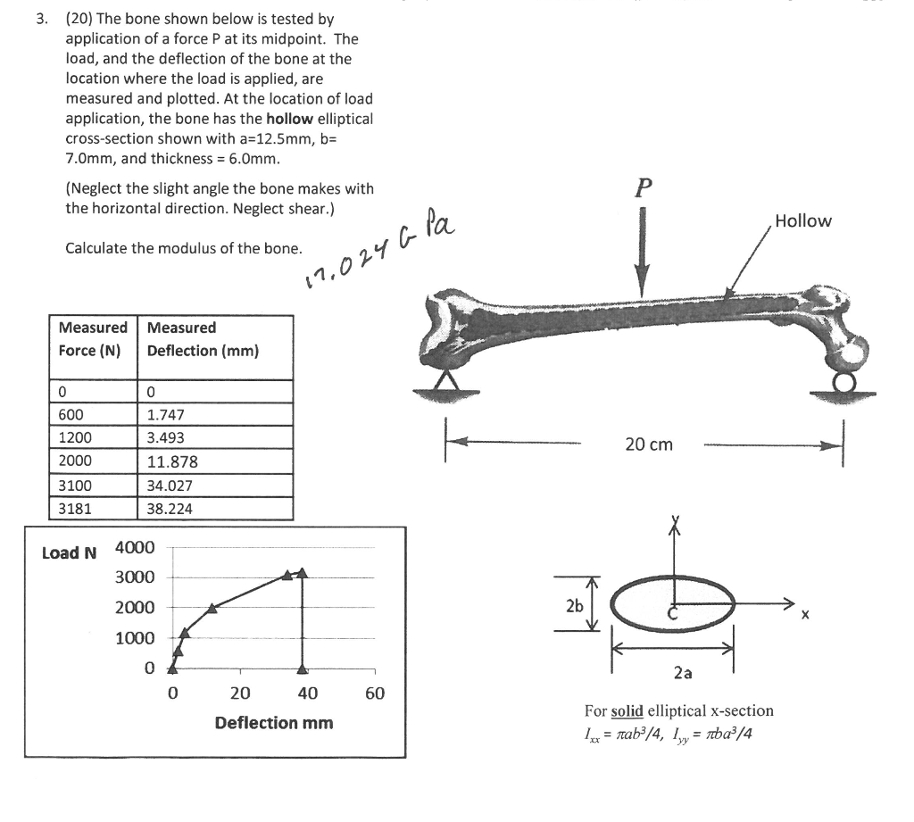Solved (20) The bone shown below is tested by application of | Chegg.com