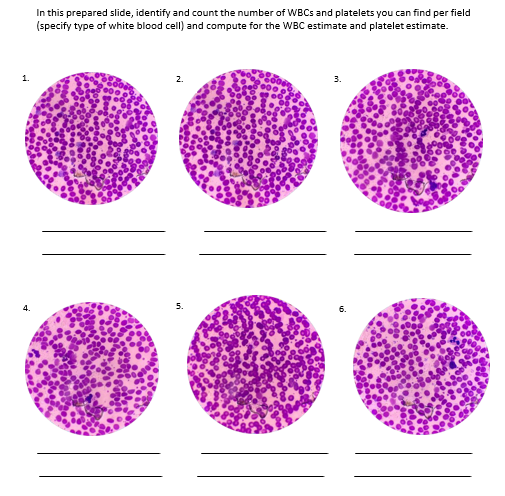 Solved 7. 10. Follow up questions: 1. What are the | Chegg.com