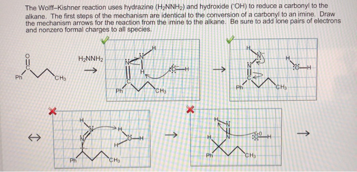 Solved The Wolff-Kishner reaction uses hydrazine (H2NNH2) | Chegg.com