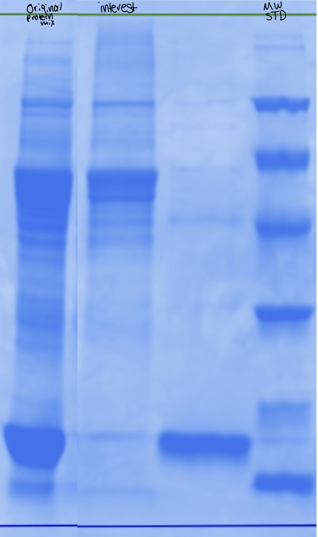 Solved please label each band on the interest column with | Chegg.com