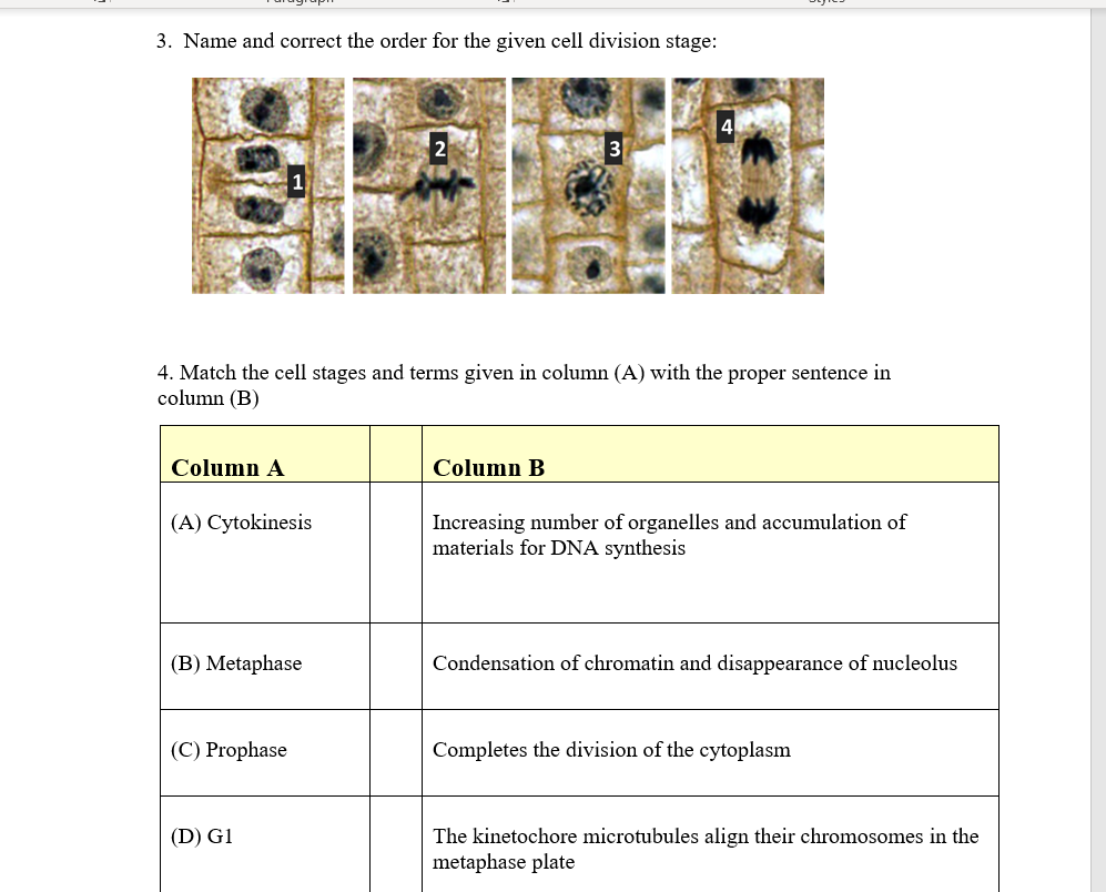 Solved Mitosis Lab–9: Homework 1. Name the labelled | Chegg.com