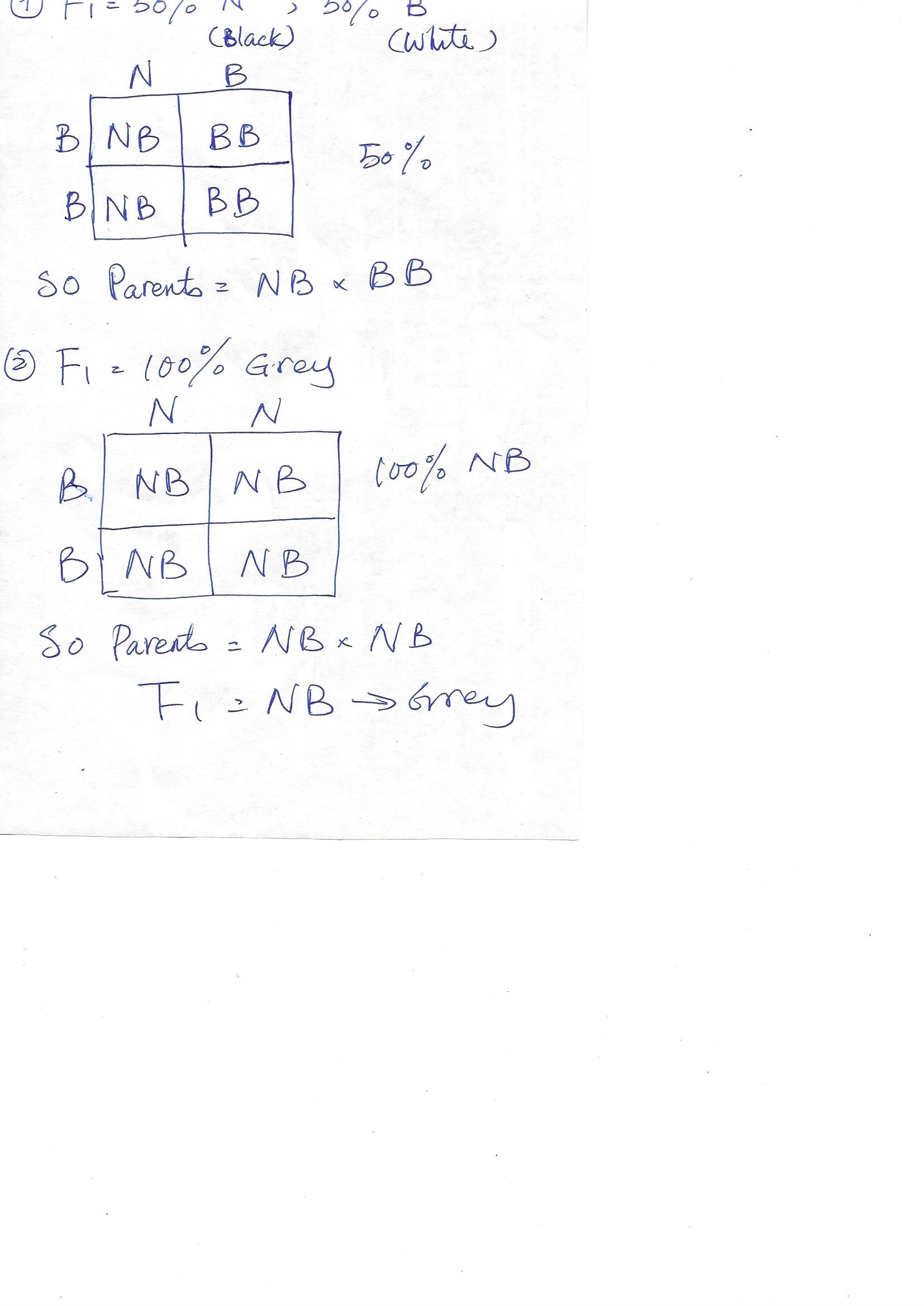 Solved Hello, can you please check my answers if they are | Chegg.com