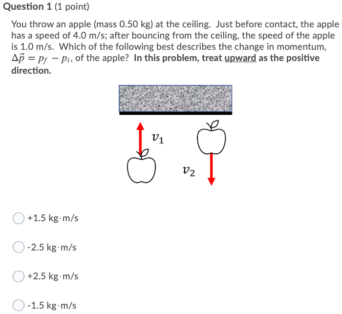 Solved Question 1 (1 point) You throw an apple (mass 0.50 | Chegg.com