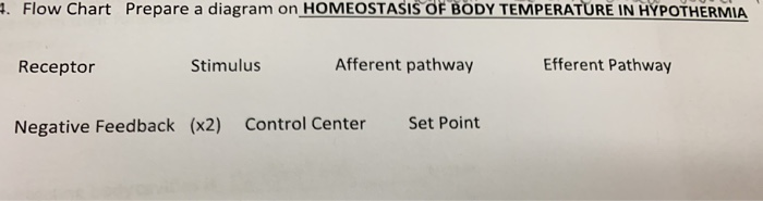 Solved . Flow Chart Prepare a diagram on HOMEOSTASIS OF BODY | Chegg.com