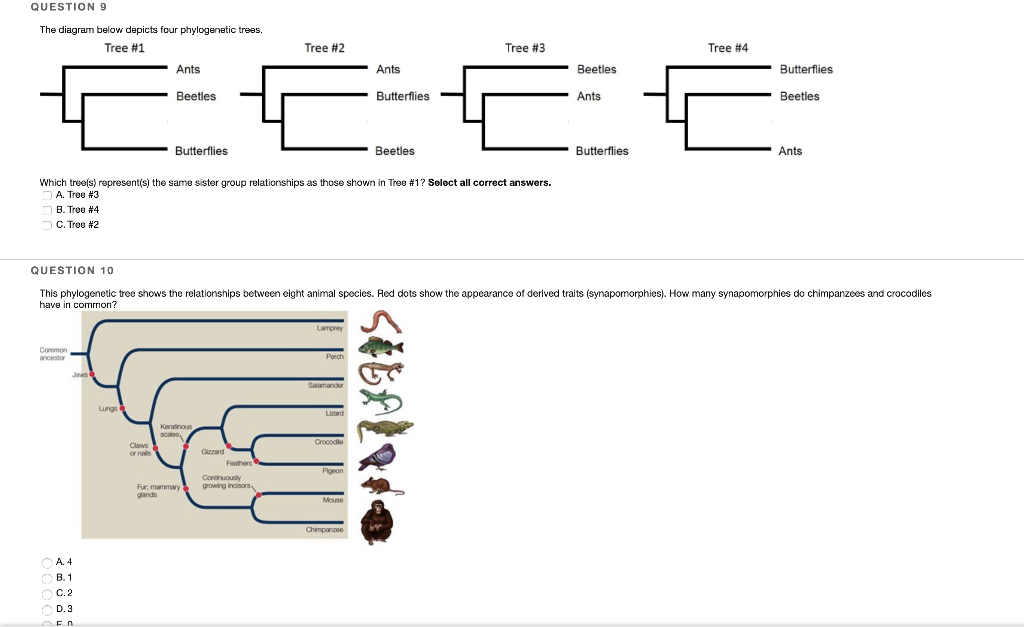 QUESTION 9 cct The diagram below depicts four | Chegg.com