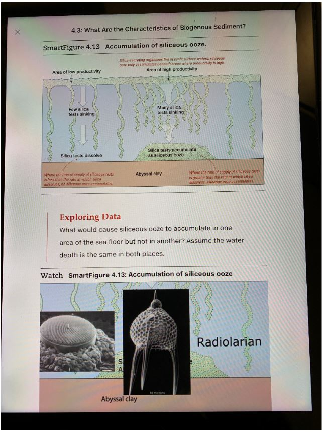 Solved Directions There are two major types of biogenous | Chegg.com