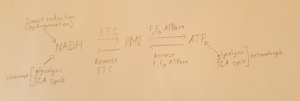 Solved Use the electron tower below as needed throughout the | Chegg.com