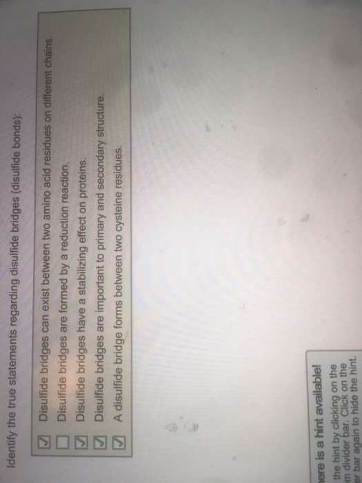 Solved Identify the true statements regarding disulfide | Chegg.com