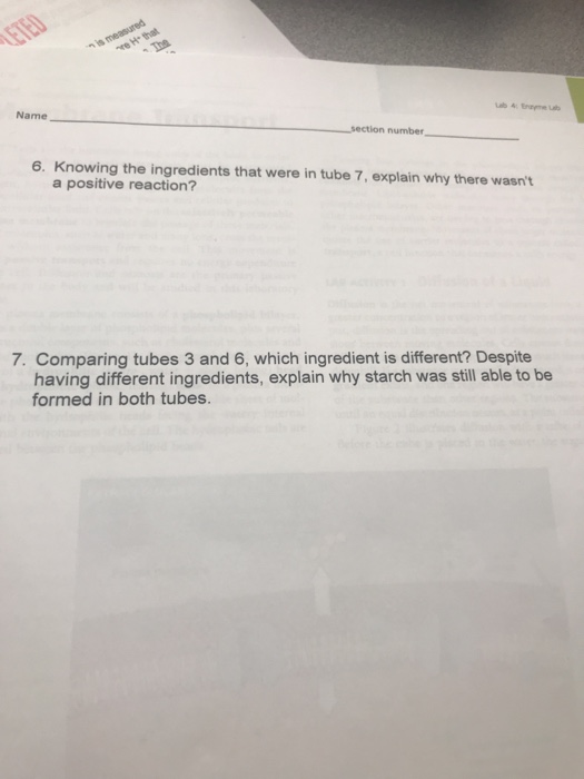 Solved Name number To complete the test get a rack of test | Chegg.com