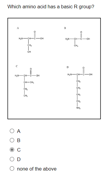 Solved Which amino acid has a basic R group?Which amino acid | Chegg.com