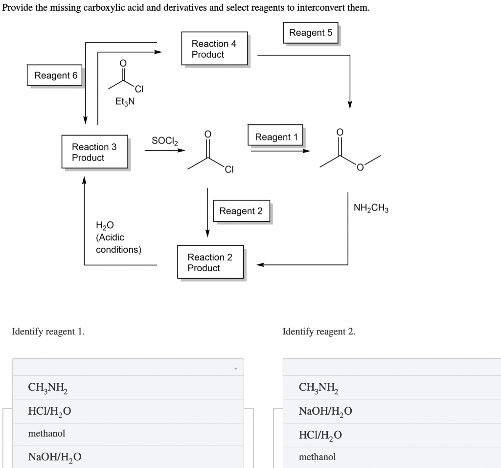 Solved Provide the missing carboxylic acid and derivatives | Chegg.com