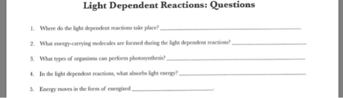 Solved Light Dependent Reactions Instructions: Read these | Chegg.com