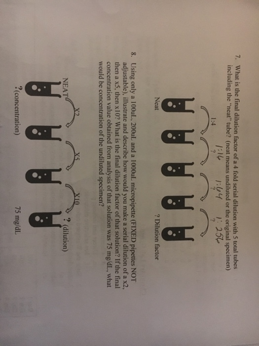 Solved 7. What is the final dilution factor of a 4 fold | Chegg.com