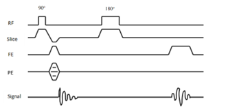 Solved MRI Question 2: The following FT Spin Echo Pulse | Chegg.com