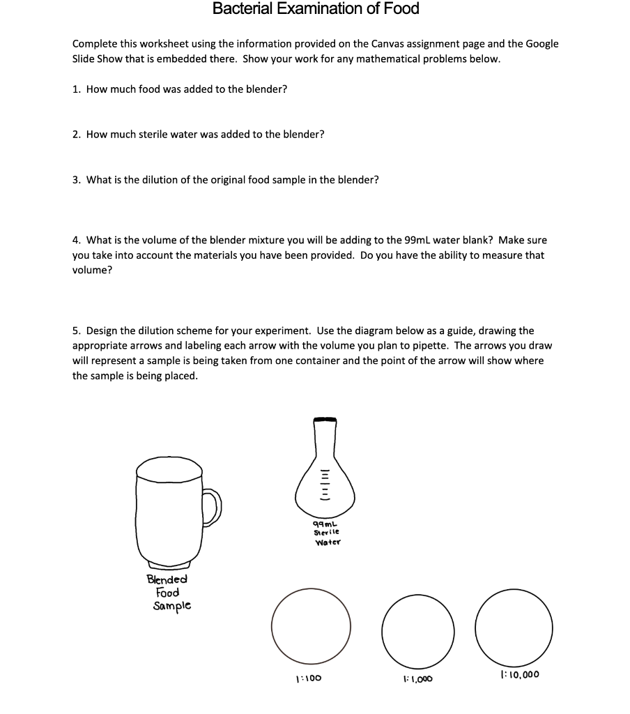 Bacterial Examination of Food Complete this worksheet | Chegg.com