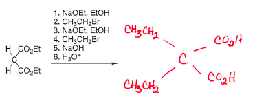Solved 1. NaOEt, EtOH lI 2. CH3CH2Br CHaCH 3. HCl, H2O, Δ | Chegg.com