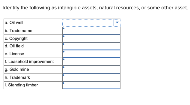 Solved Identify the following as intangible assets, natural | Chegg.com