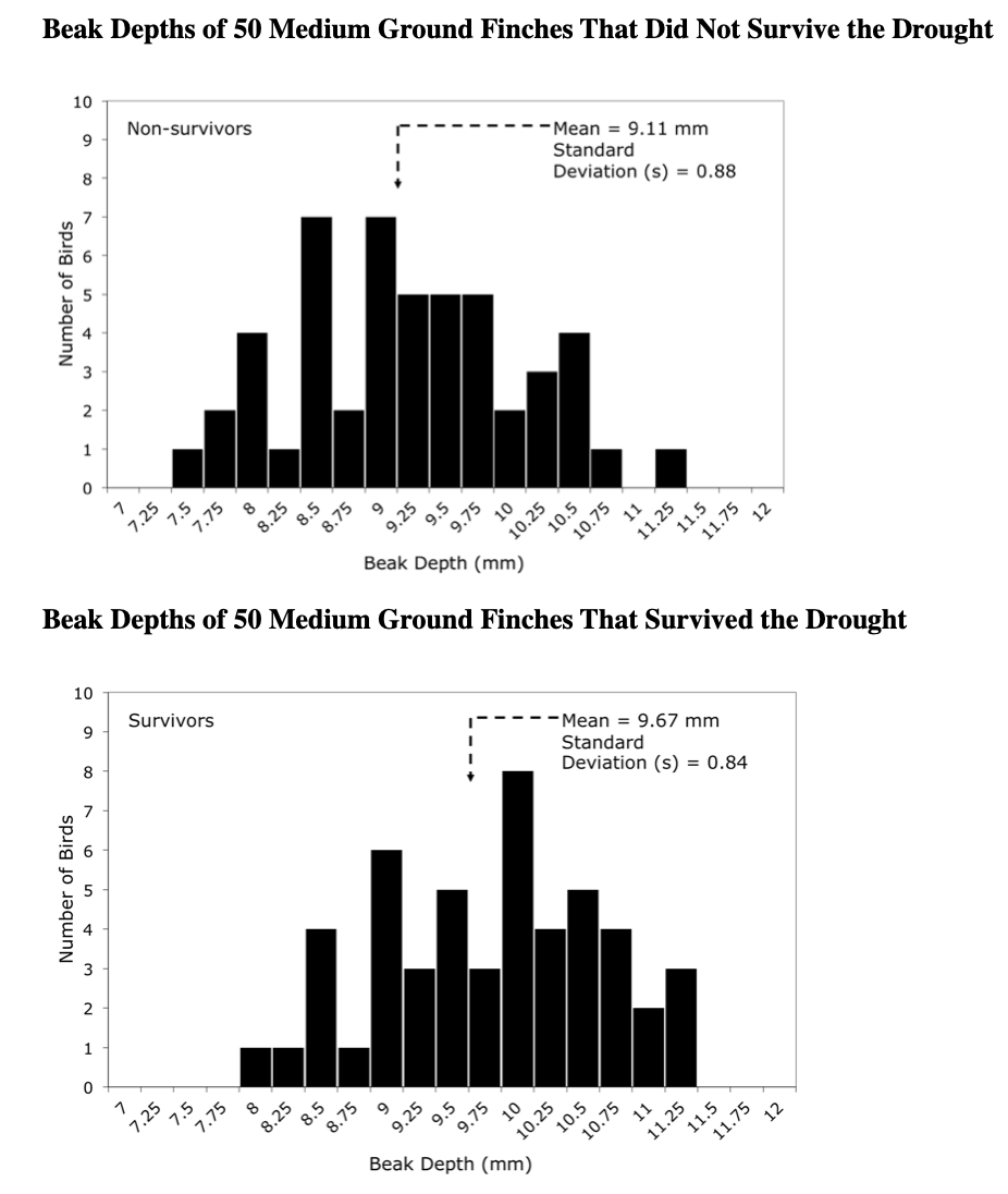 Solved 11. Let’s look in more detail at the mean beak depths | Chegg.com