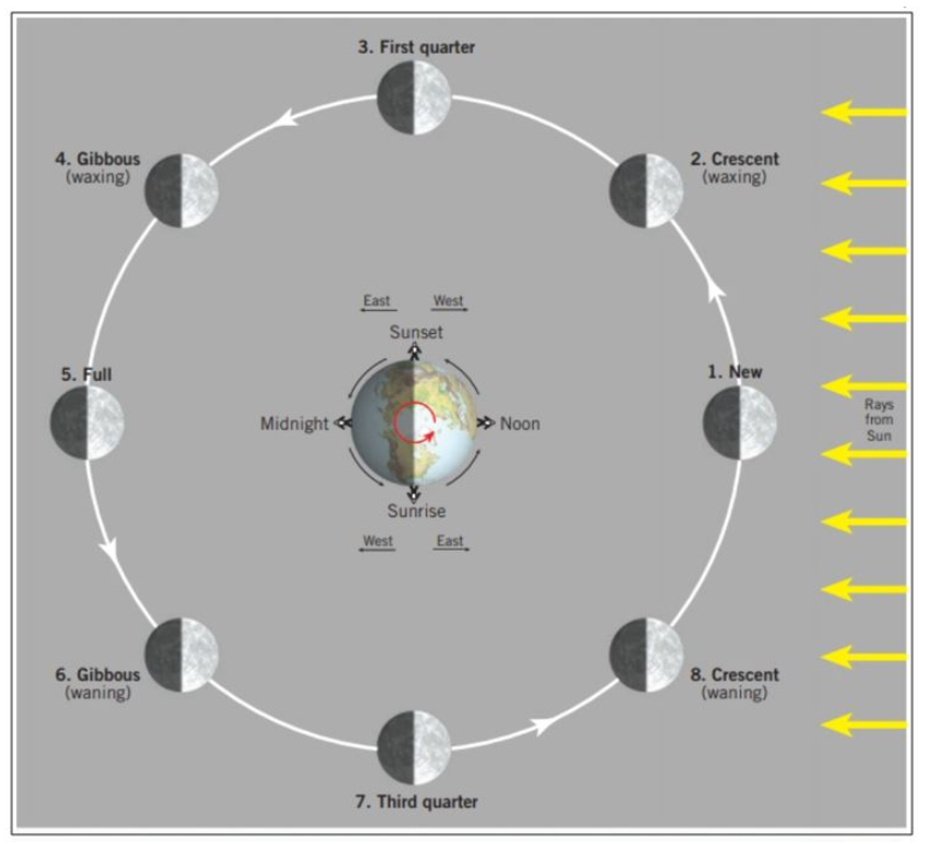 18. Study the phases of the Moon shown at the bottom | Chegg.com