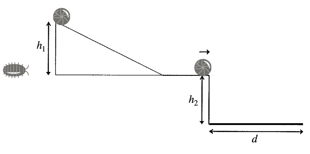 Solved A pillbug, or rolly-polly (modeled as a sphere with | Chegg.com