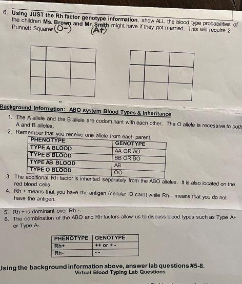 Solved Using JUST the Rh factor genotype information, show | Chegg.com