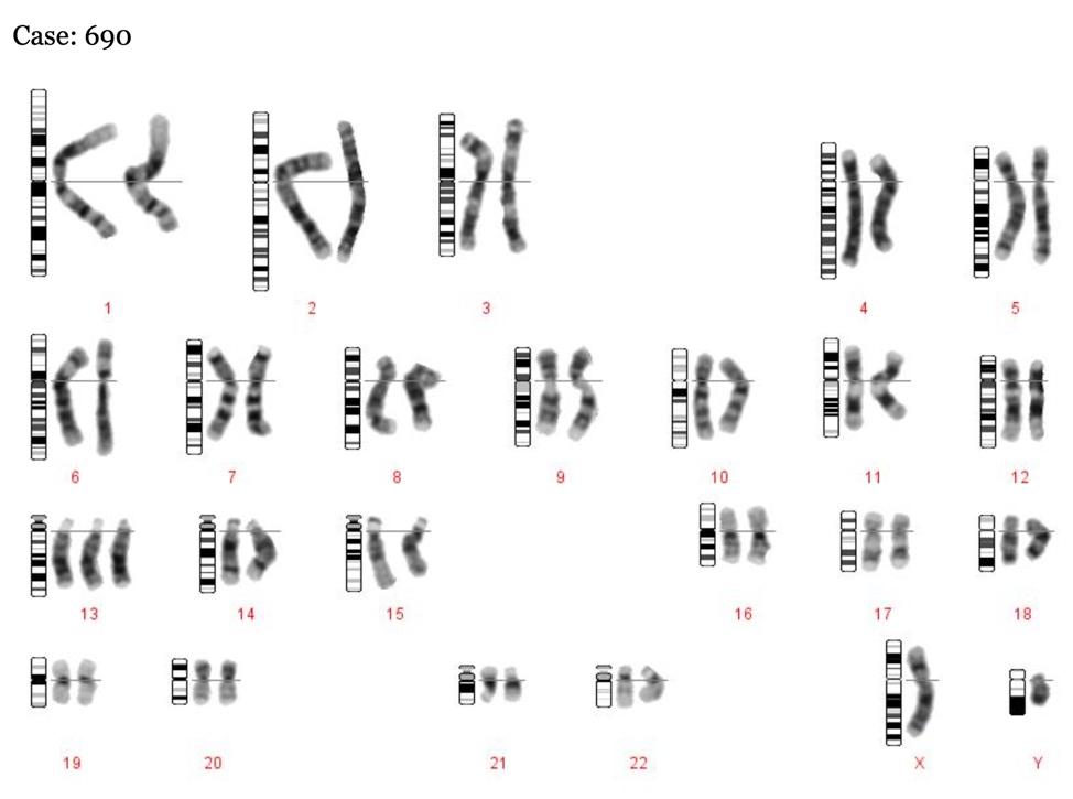 Solved Jenny and Bryce Abbott have attended genesRus. They | Chegg.com
