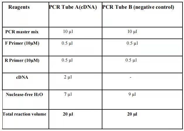 Solved Materials Place the following RNA (lug) into the new, | Chegg.com