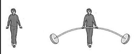 Solved Tightrope walkers often carry a long pole that is | Chegg.com
