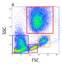 Side Scatter (SSC) provides information on | Chegg.com