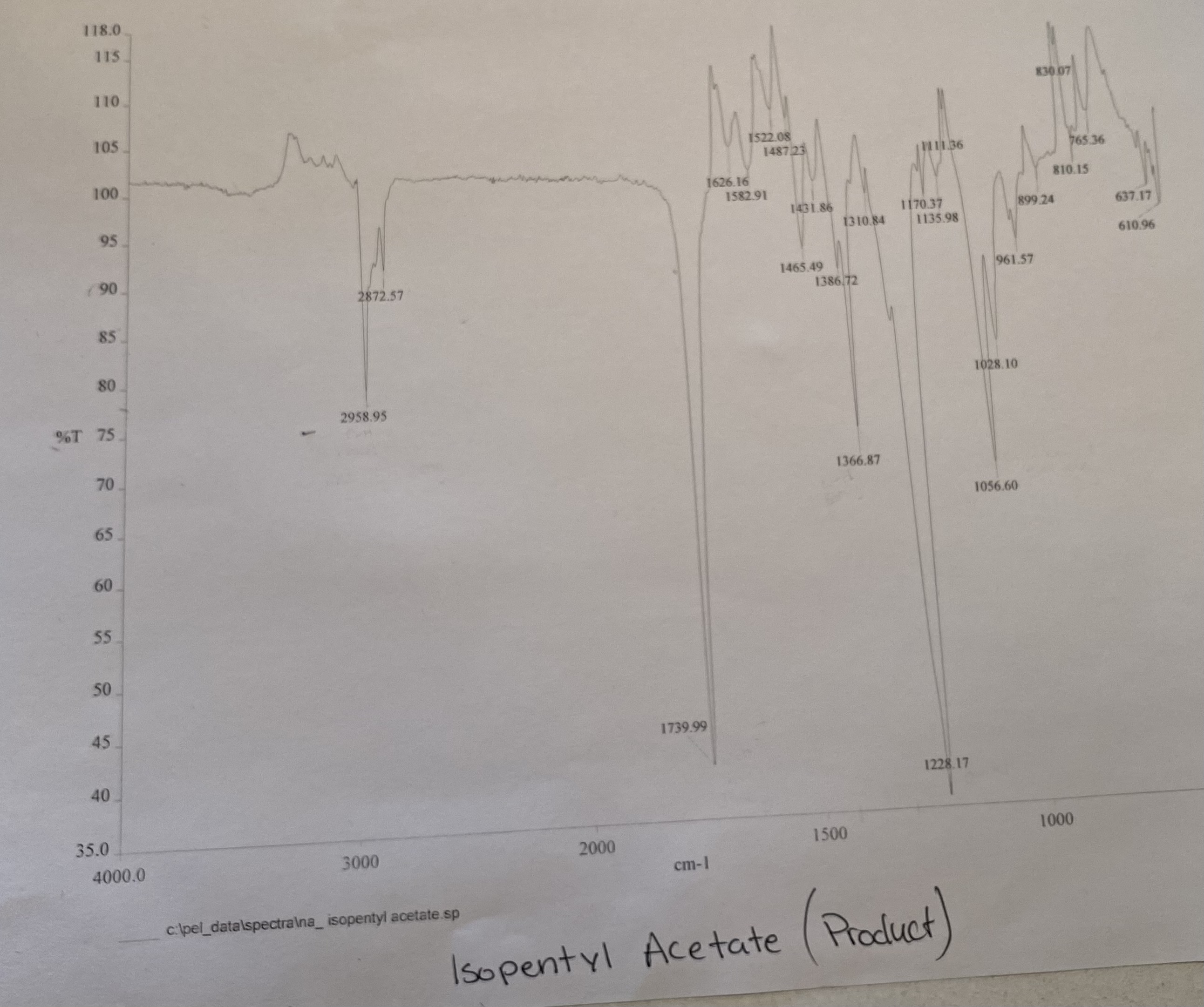 For the following IR Spectras: Identify important | Chegg.com